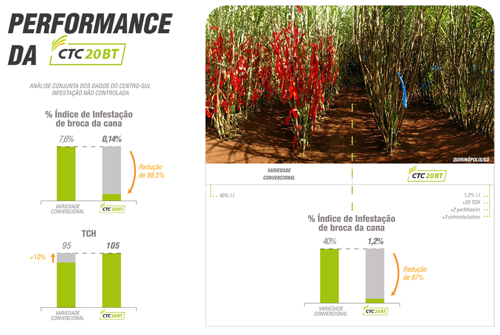 CTC 20BT - Variedades CTC